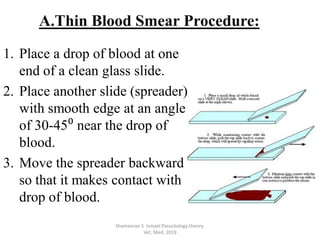 Parasitology paractice: Quantitative fecal Methods and Blood smear ...