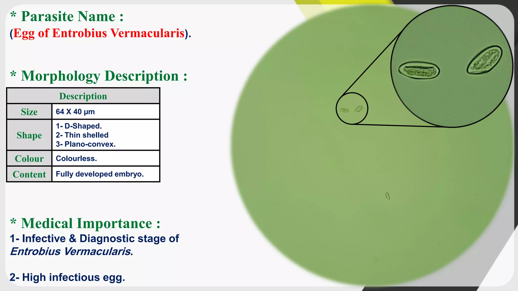 Parasitology (parasites of reproductive system) | PDF