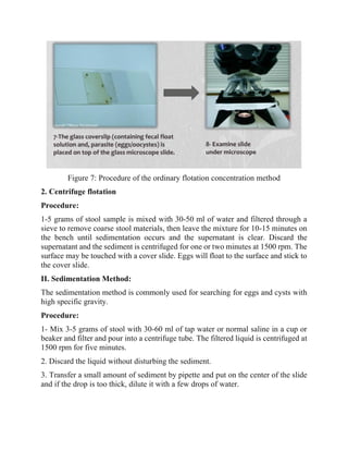 The Routine Parasitological Practice Methods | PDF