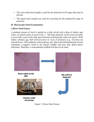 The Routine Parasitological Practice Methods | PDF