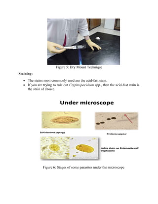 The Routine Parasitological Practice Methods | PDF