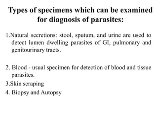 Parasitology practice 1/Health Sciences | PDF | Infectious Diseases ...