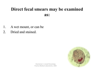 Parasitology practice 2/Health Sciences | PDF