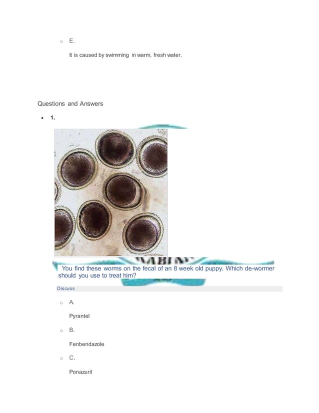 Parasitology questions and answers | DOCX