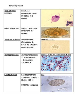 Parasitology report | PDF