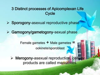 Parasitology (apicomplexa) | PPT
