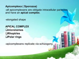Apicomplexans