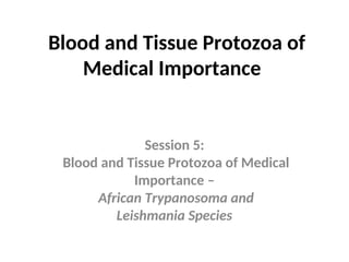 PARASITOLOGY SESSION FIVE PRESENTATION(Blood protozoa) | PPT