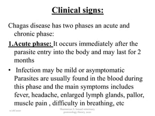 Protozoology theory 5 | PPT
