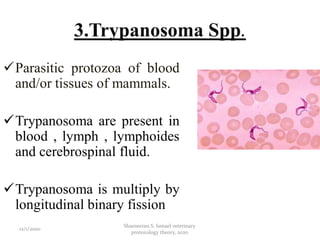 Trypanosomiasis | PDF
