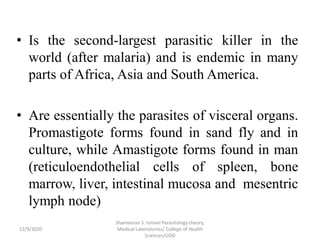 Parasitology theory lec.6 | PDF