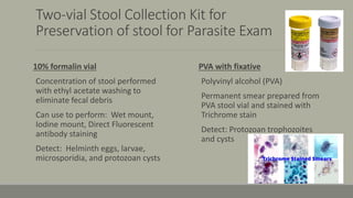 Comprehensive Laboratory Diagnosis and Clinical Overview of Parasitic ...