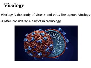 Parasitology ,Virology, Bracterial growth, and Antibiotics.pptx