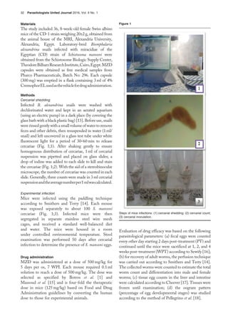 Antischistosomal activity of Mirazid in experimental schistosomiasis ...