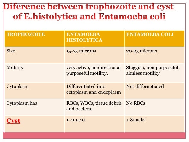 Differences Between Entamoeba Histolytica And Entamoeba Coli