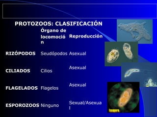 Parasitos | PPT