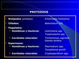 Parasitos | PPT