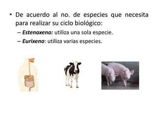 Parasitos Parasitologia Instituto politecnico | PDF
