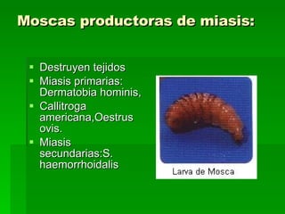 Parasitos Tisulares Y ArtróPodos | PPT