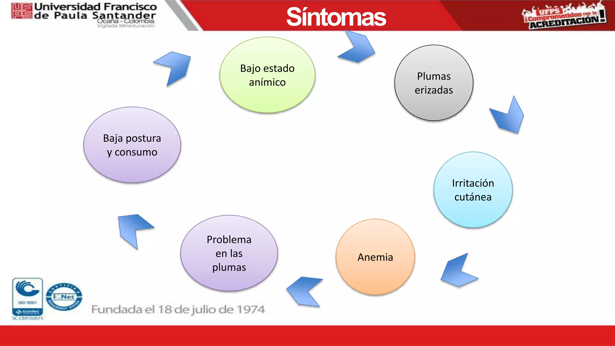 Parasitos externos (1) | PPT