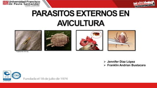 Parasitos externos (1) | PPTX