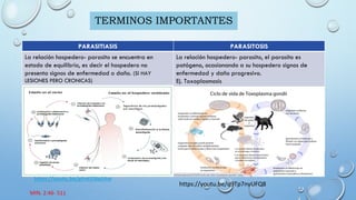 PARASITOS en general como se desarrollan | PDF
