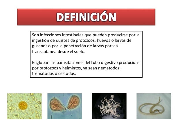 Parasitosis intestinales en pediatria
