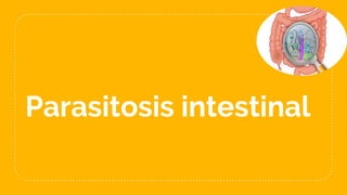 Parasitosis | PPTX