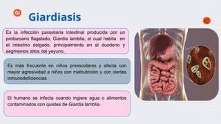 Parasitosis Humanas Intestinales en Pediatría | PPTX