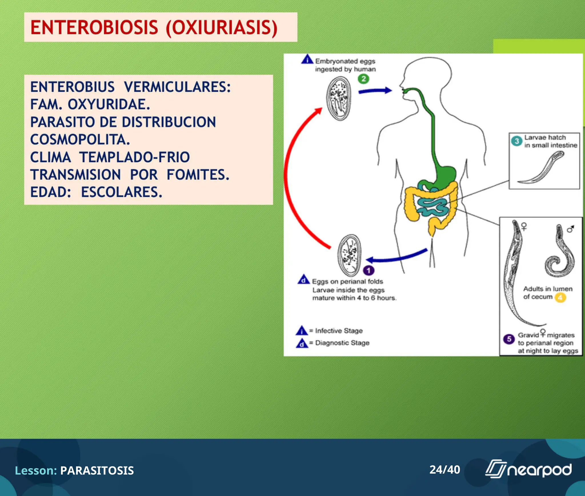 PARASITOSIS INTESTINALES EN PEDIATRIA.pdf