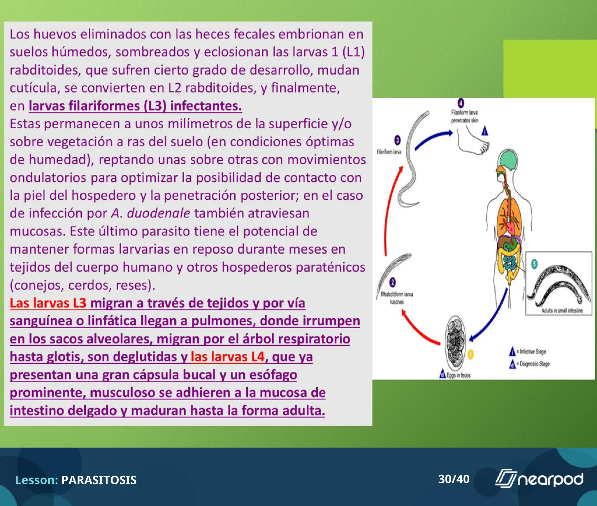 PARASITOSIS INTESTINALES EN PEDIATRIA.pdf