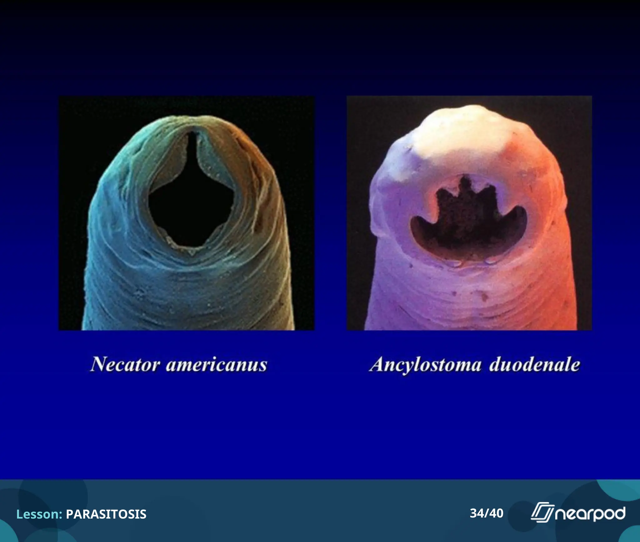 PARASITOSIS INTESTINALES EN PEDIATRIA.pdf