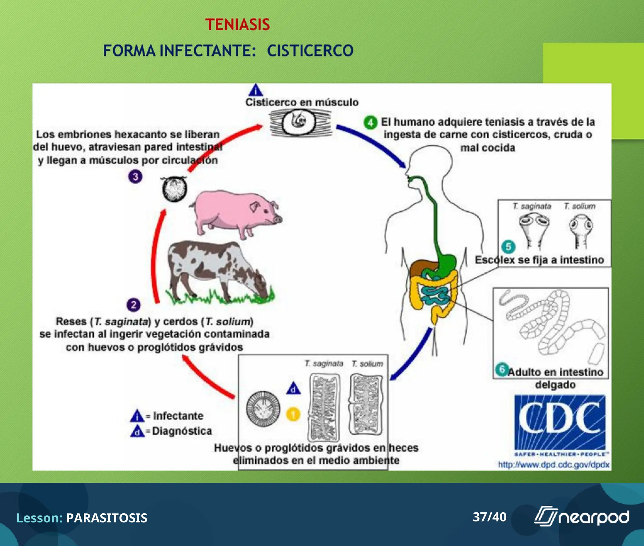 PARASITOSIS INTESTINALES EN PEDIATRIA.pdf
