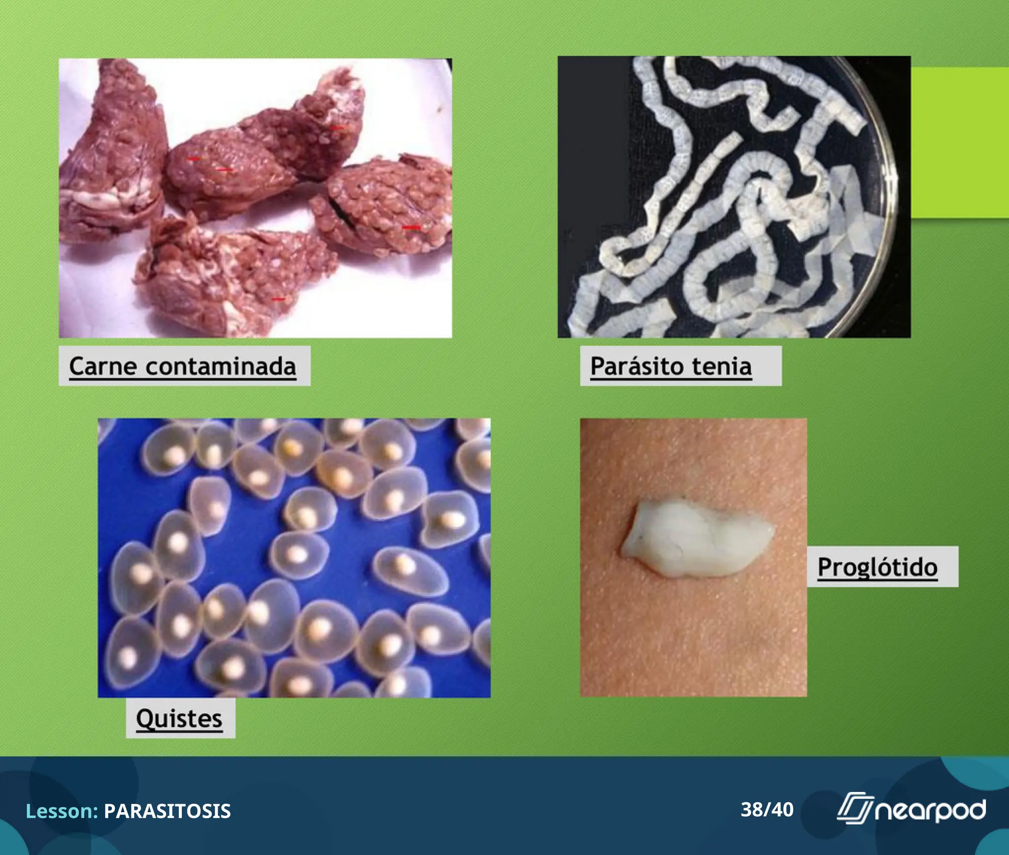 PARASITOSIS INTESTINALES EN PEDIATRIA.pdf