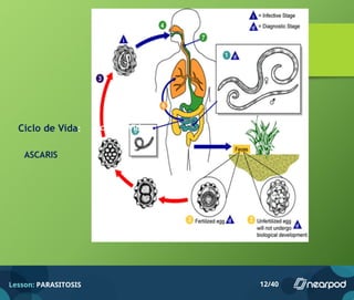 PARASITOSIS INTESTINALES EN PEDIATRIA.pdf