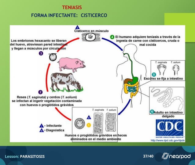 PARASITOSIS INTESTINALES EN PEDIATRIA.pdf
