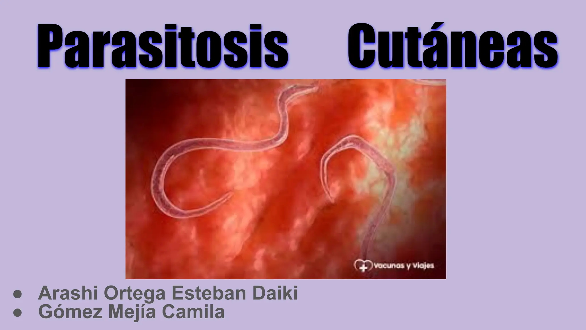 Parasitosis cutáneas , resumen de dermatologia | PPT