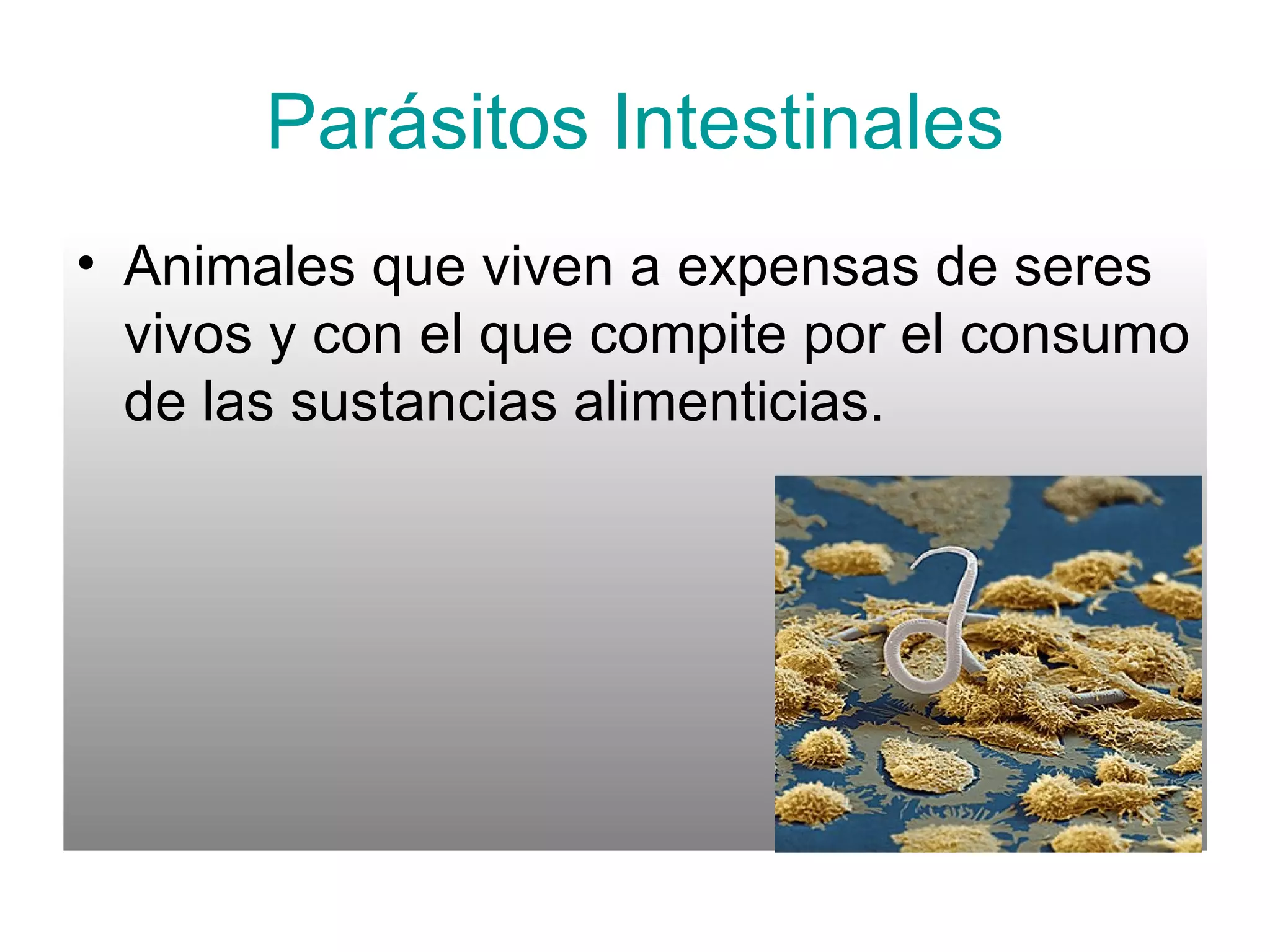 Parasitosis intestinal | PPT