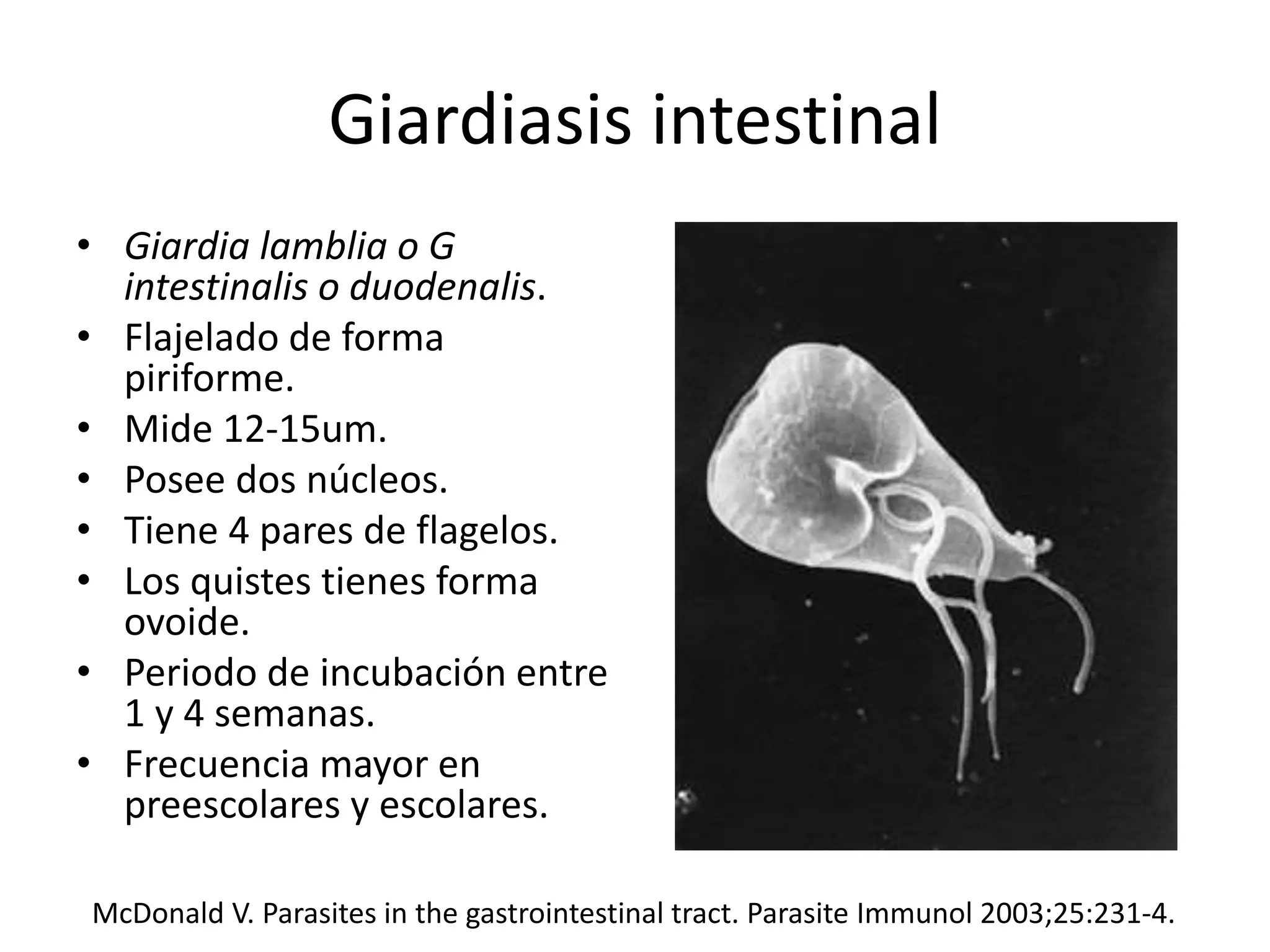 Parasitosis intestinal | PPT