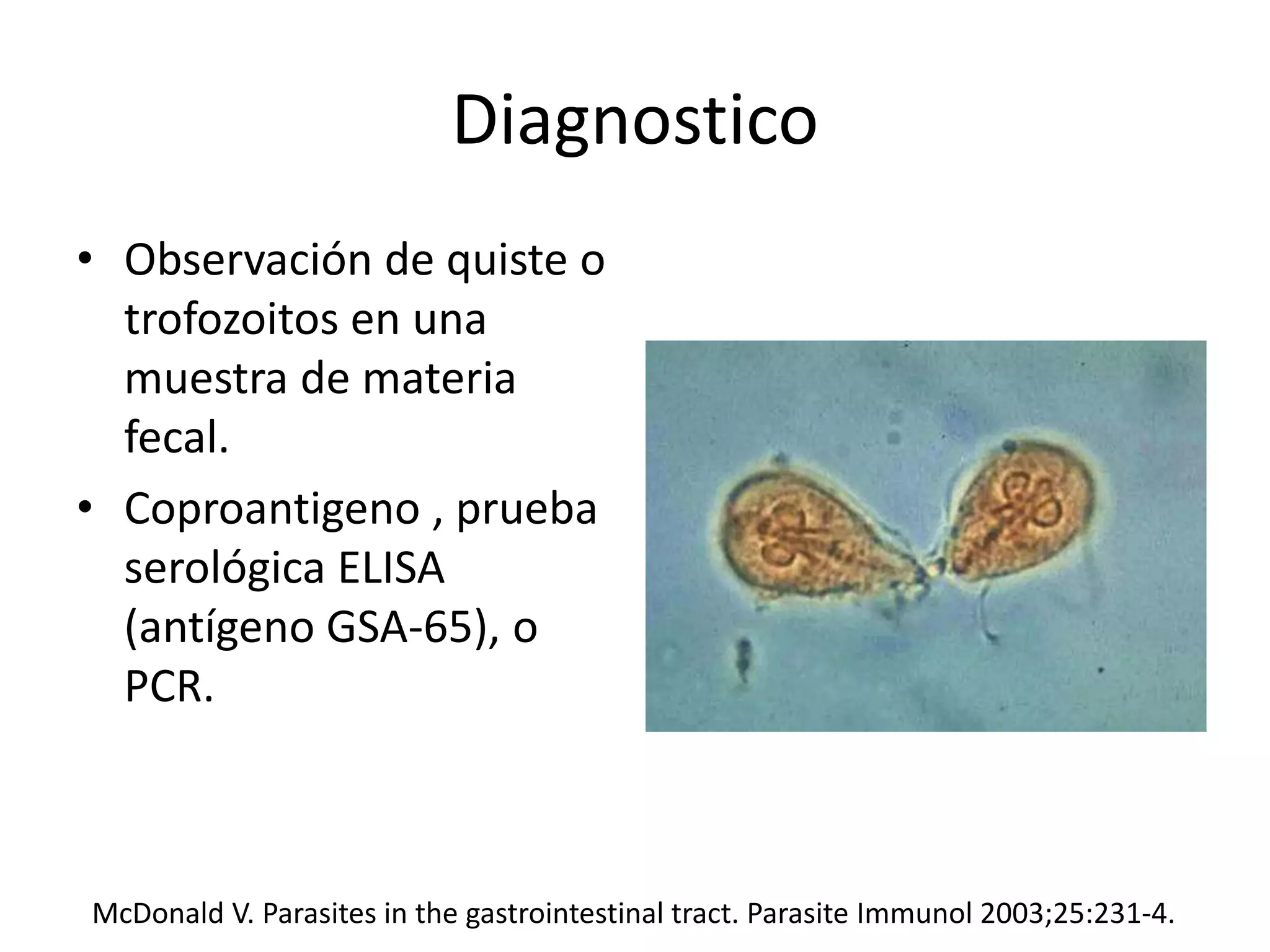 Parasitosis intestinal | PPT