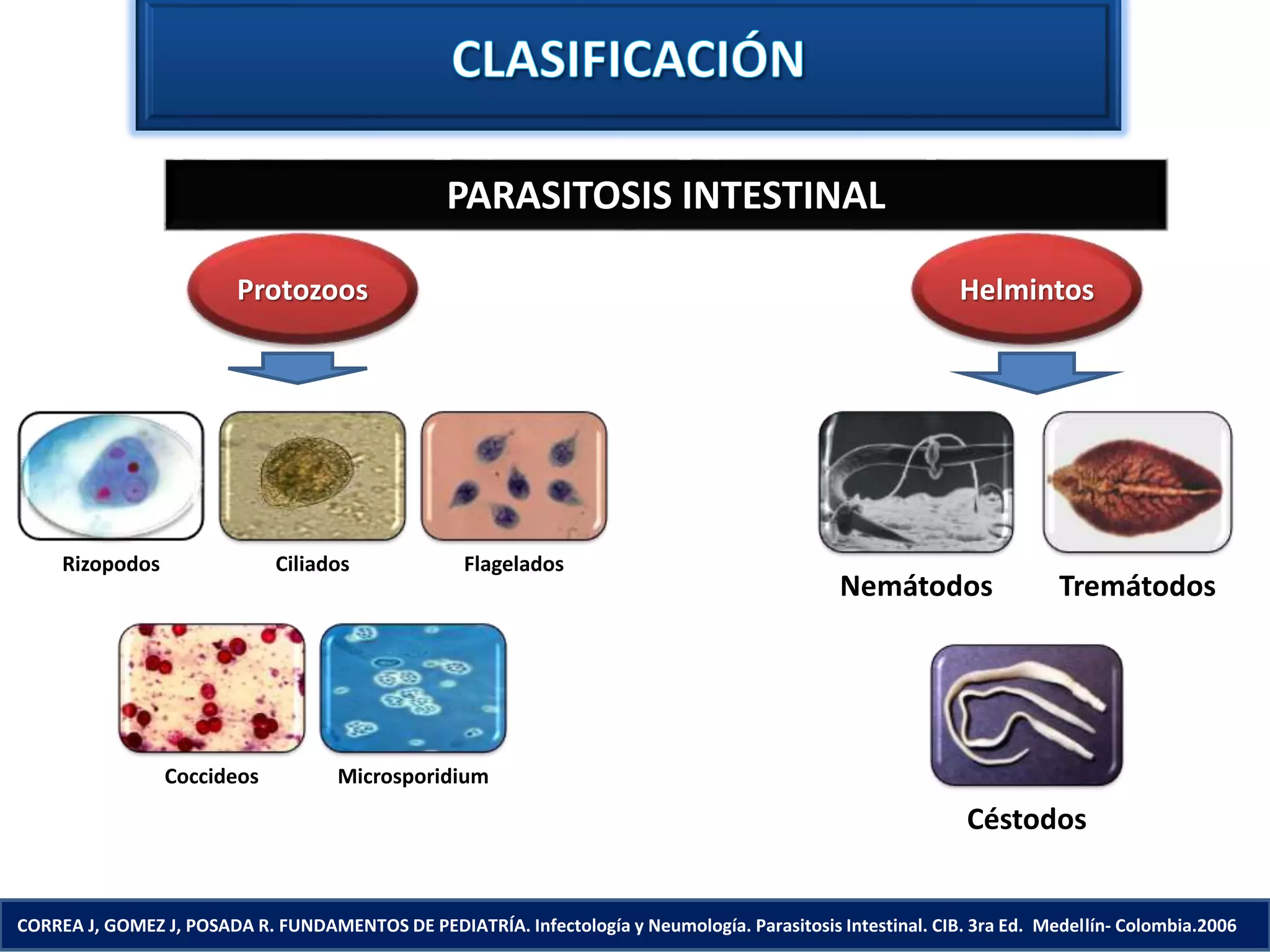Parasitosis intestinal | PPSX