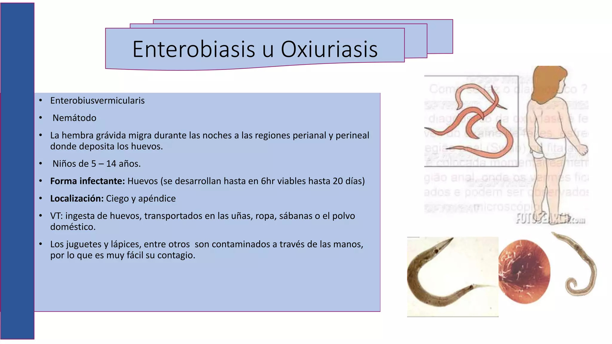 Parasitosis Intestinal.pptx