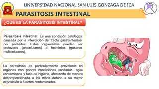 PARASITOSIS_INTESTINAL - PARASITOSIS_INTESTINAL. | PPTX