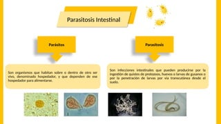 Comprehensive Overview of Intestinal Parasitosis: Causes, Symptoms ...