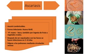 Comprehensive Overview of Intestinal Parasitosis: Causes, Symptoms ...