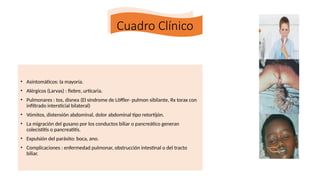 Comprehensive Overview of Intestinal Parasitosis: Causes, Symptoms ...