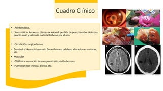 Comprehensive Overview of Intestinal Parasitosis: Causes, Symptoms ...