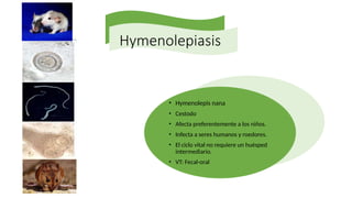 Comprehensive Overview of Intestinal Parasitosis: Causes, Symptoms ...