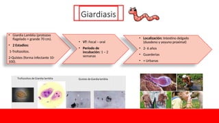 Comprehensive Overview of Intestinal Parasitosis: Causes, Symptoms ...