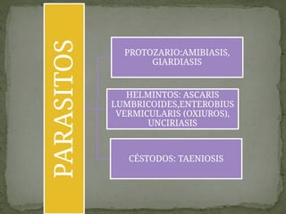 parasitosis intestinales en el cuerpo humano | PPTX